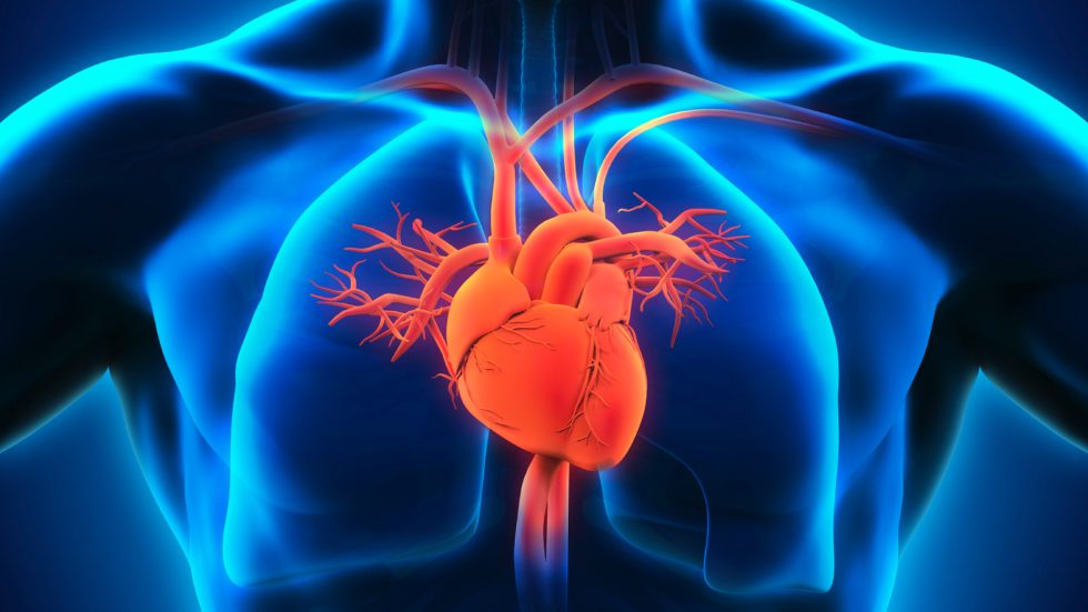 7 common Afib triggers that may surprise you | Venocure